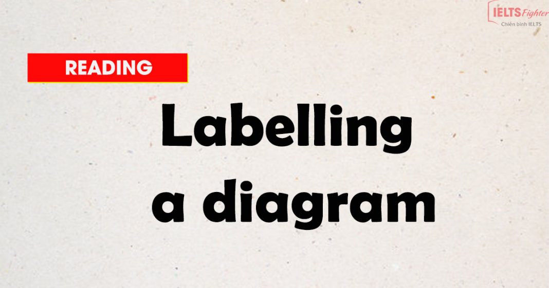 Hướng dẫn cách làm bài IELTS Reading Labelling a diagram | Luyện thi ...